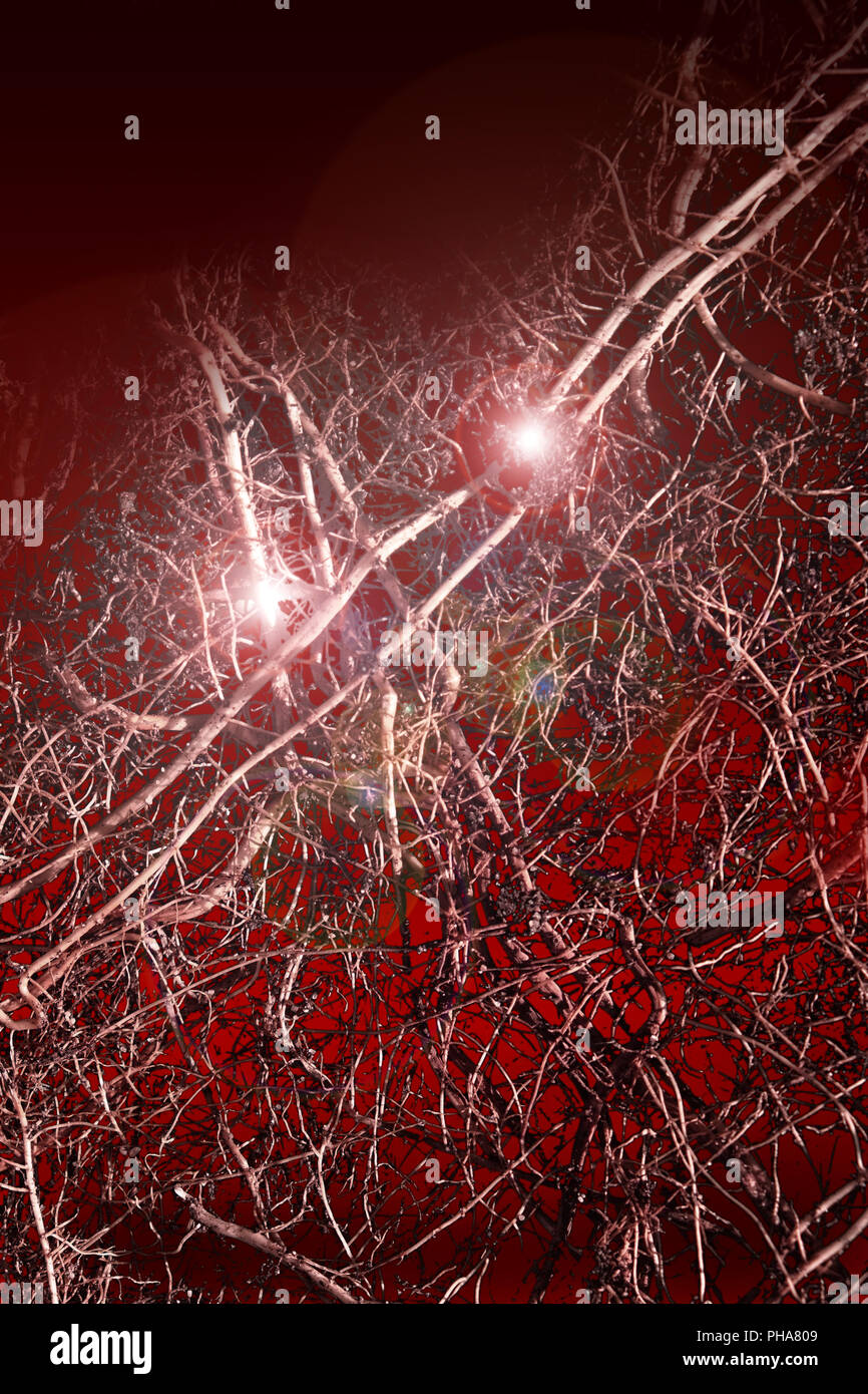 Network with filigree structures Stock Photo - Alamy