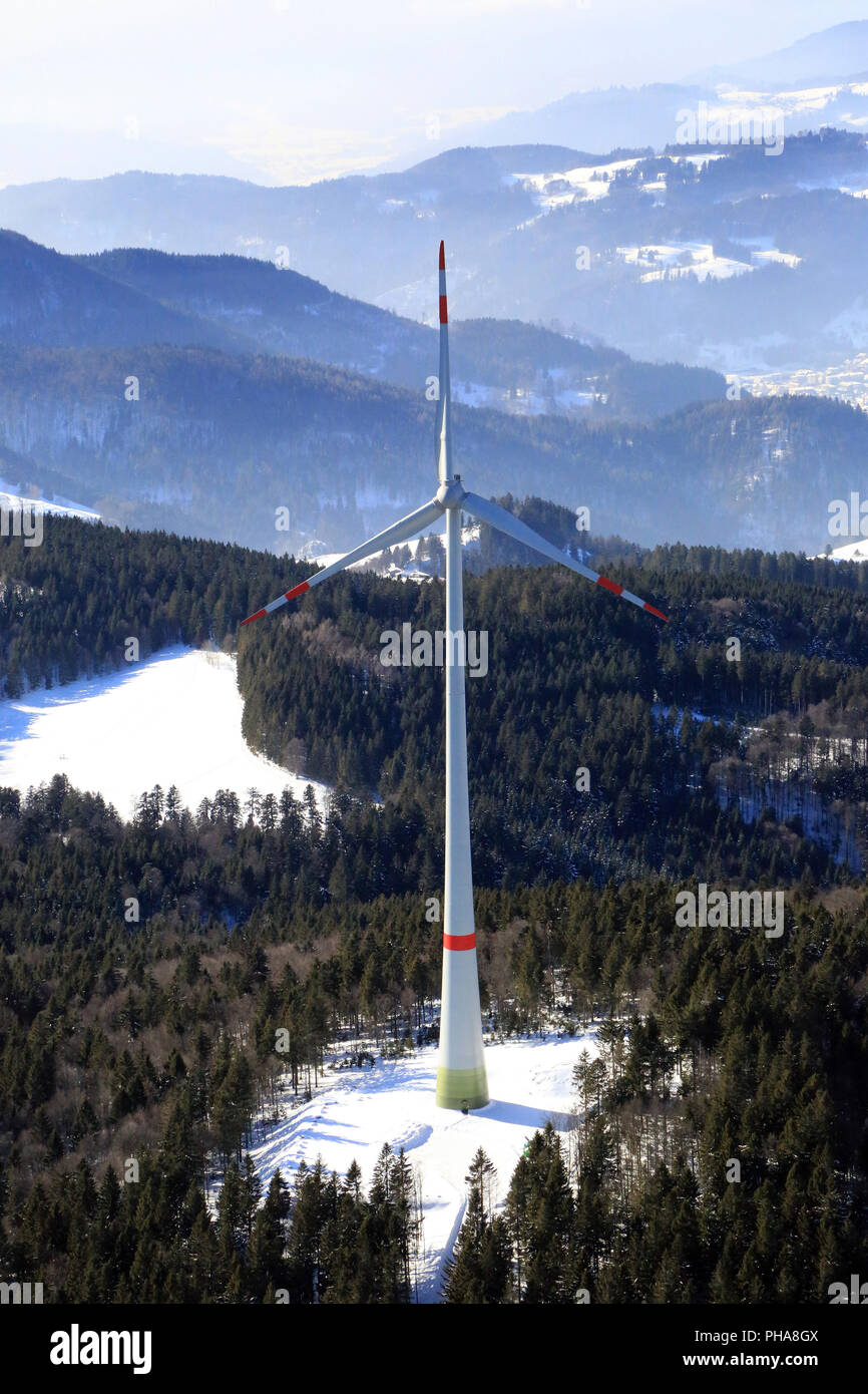 Wind in forest hi-res stock photography and images - Alamy