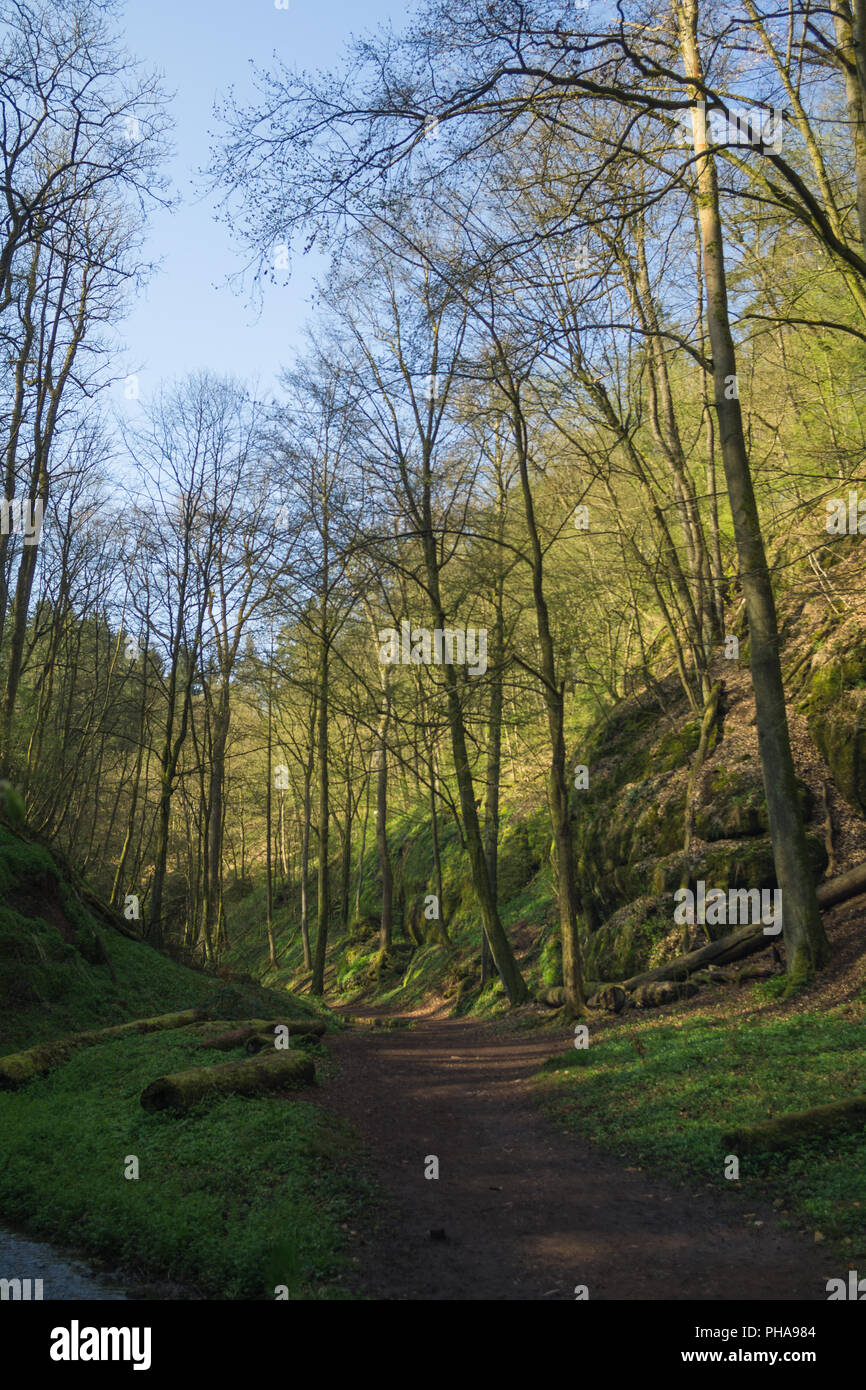 Dragon's gorge near Eisenach Stock Photo - Alamy