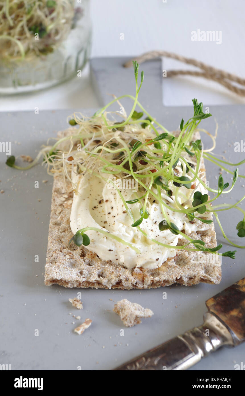 crispbread with cream cheese and home-grown sprouts Stock Photo - Alamy