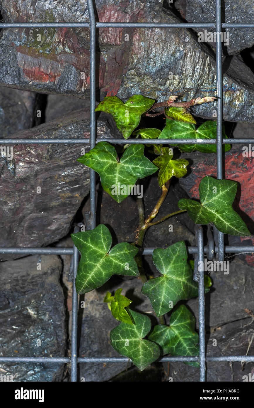 Stone lattice hi-res stock photography and images - Alamy