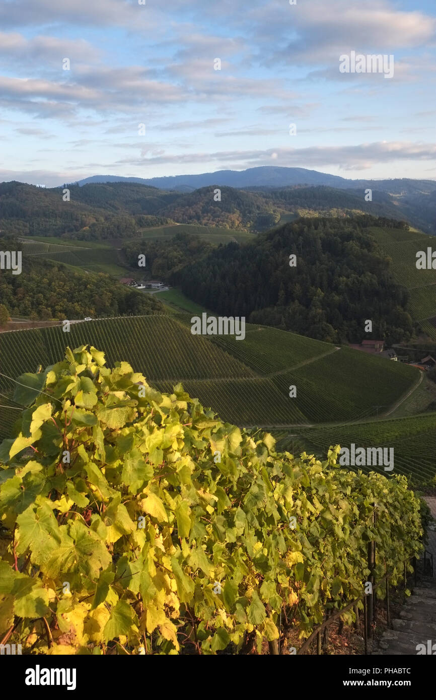 Ortenau region hi-res stock photography and images - Alamy