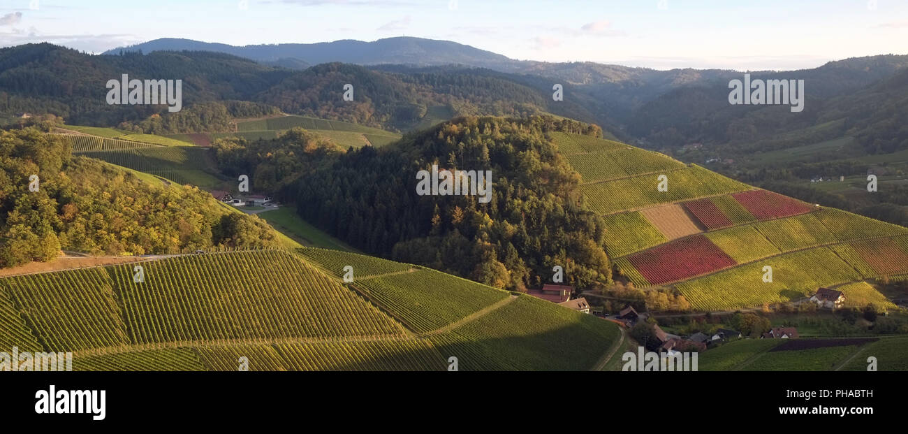 Ortenau region hi-res stock photography and images - Alamy