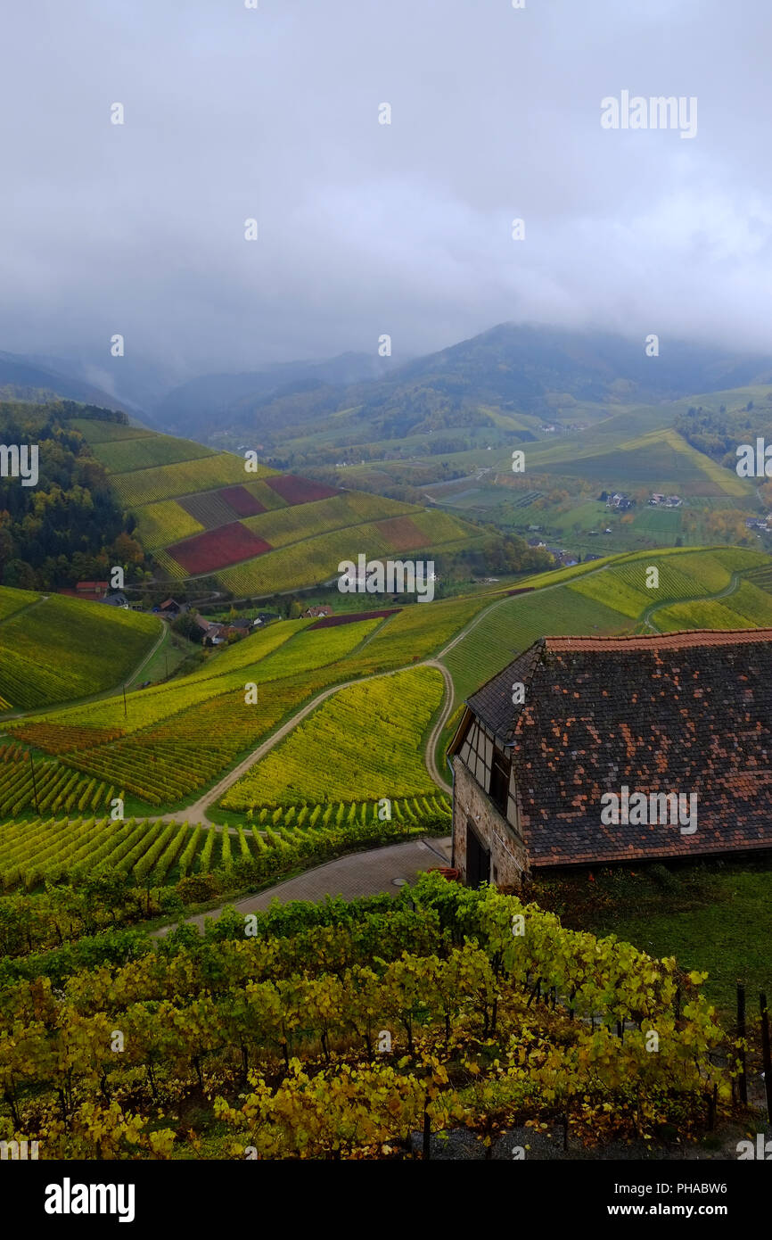 Durbach germany hi-res stock photography and images - Alamy