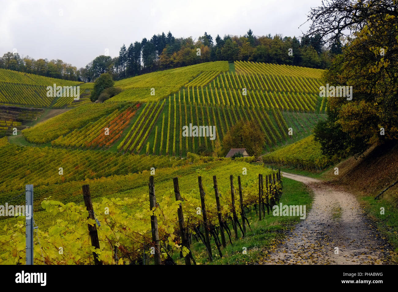 Durbach hi-res stock photography and images - Alamy