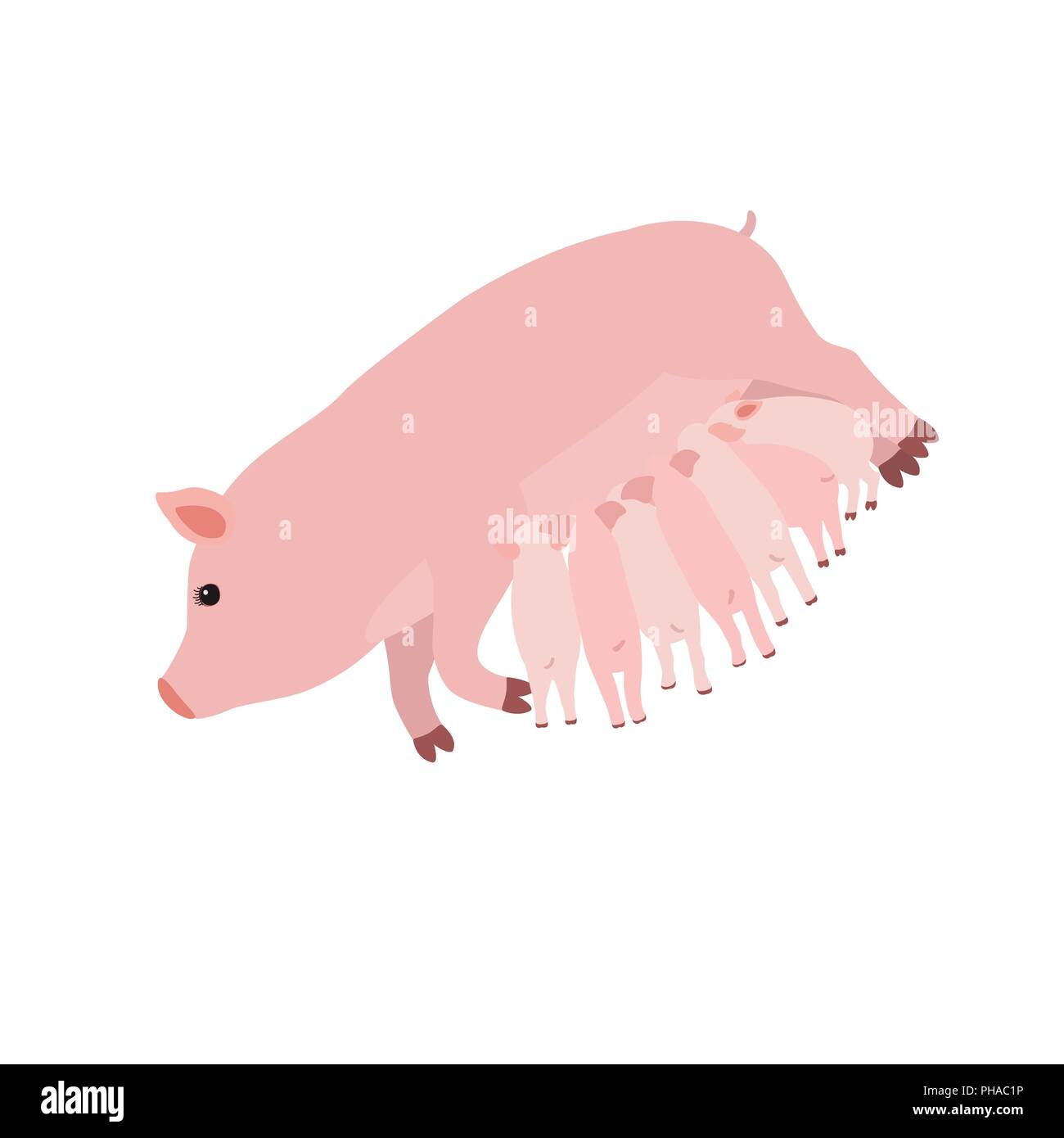 Barn feeding Stock Vector Images - Alamy