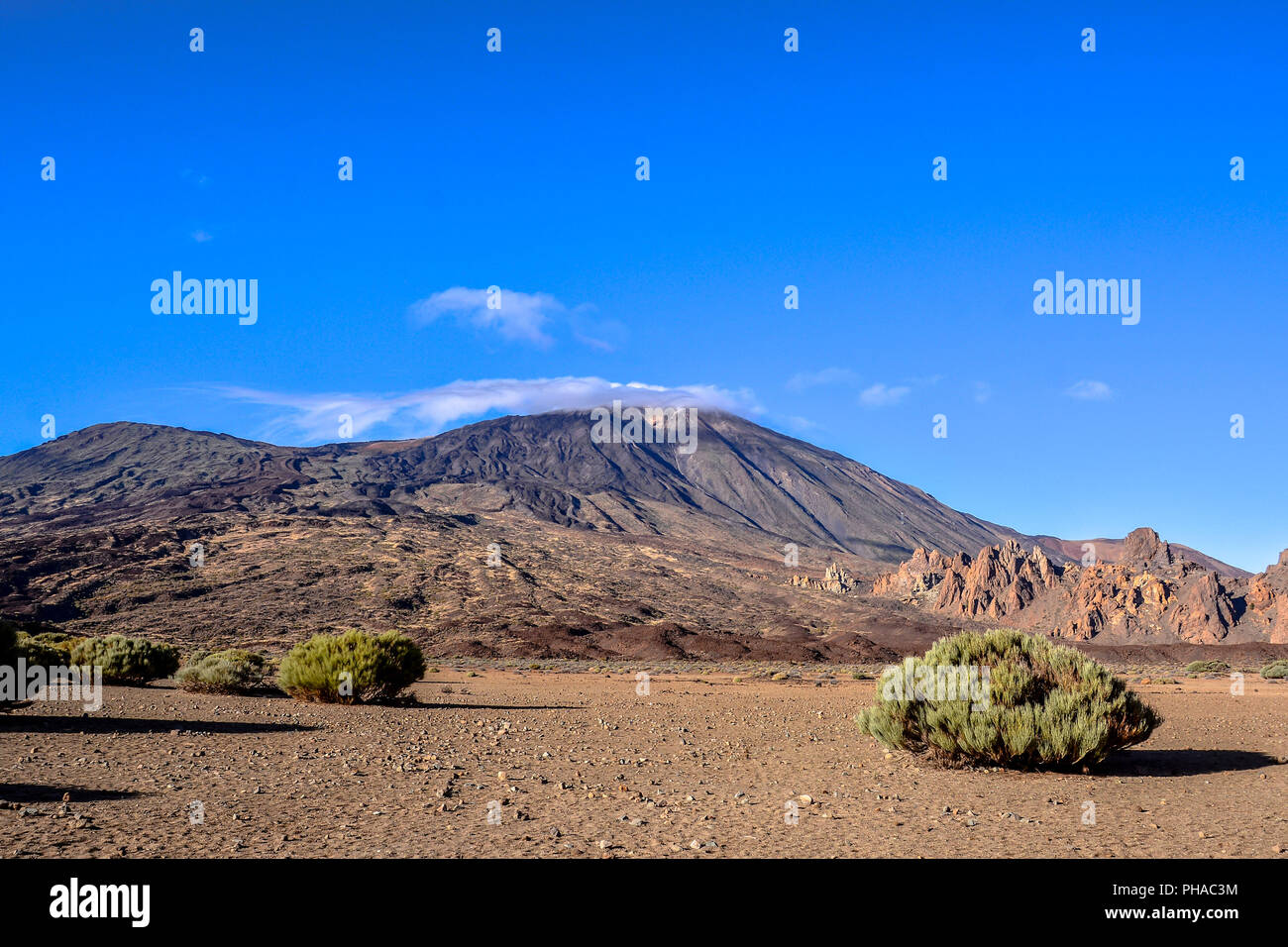 Landscape in Tenerfe Tropical Volcanic Canary Islands Spain Stock Photo ...