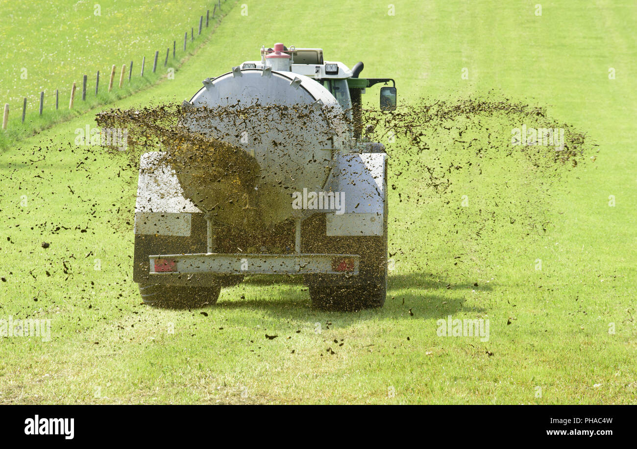 liquid manure in agriculture on meadow Stock Photo - Alamy
