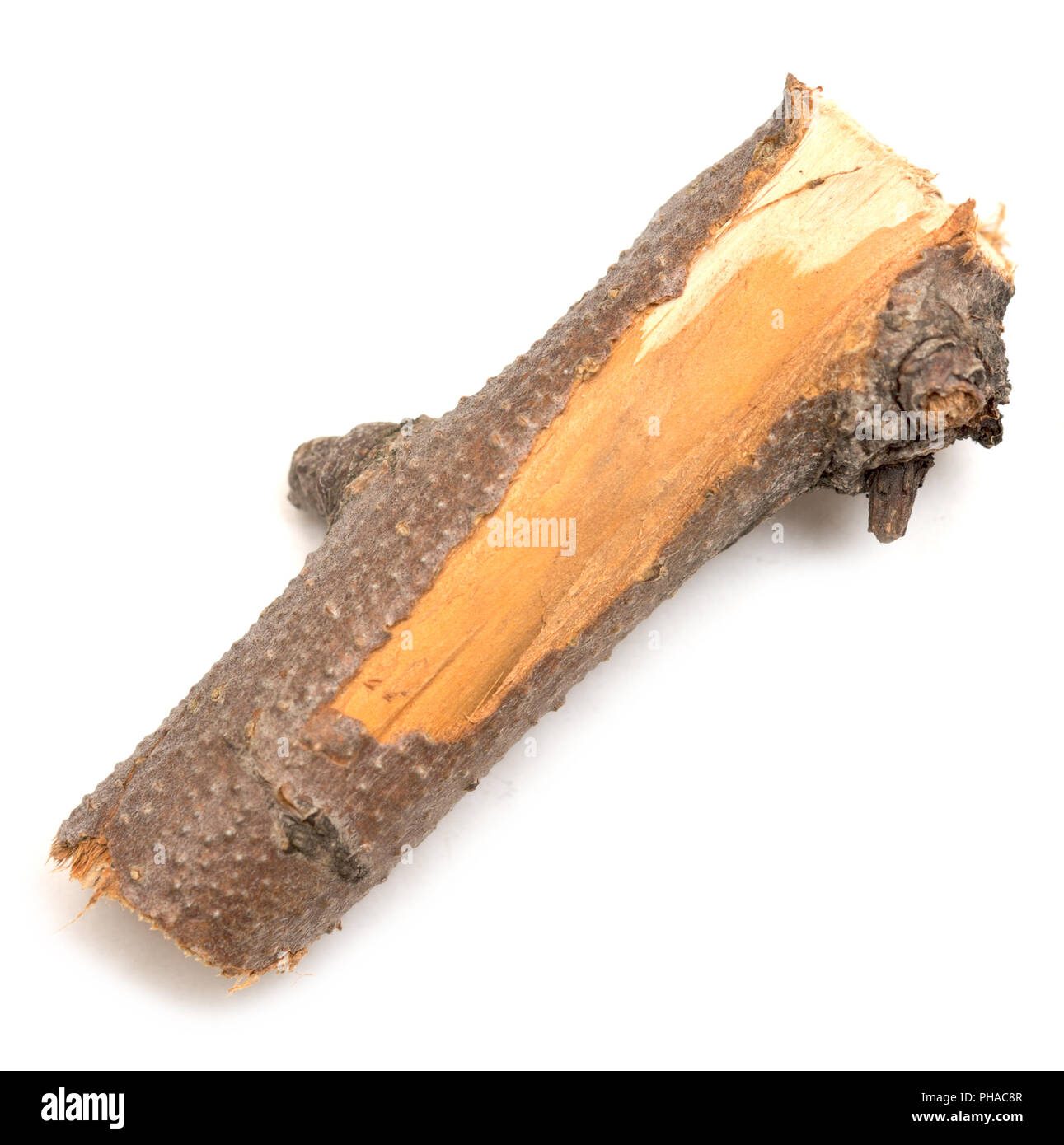 Firewood log on white hi-res stock photography and images - Alamy