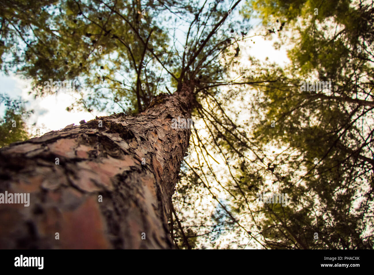 Looking down from sky below hi-res stock photography and images - Alamy