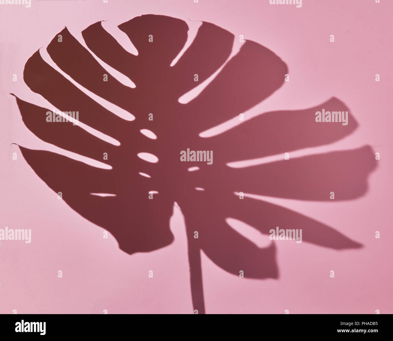 Pink background with shadow Stock Photo - Alamy