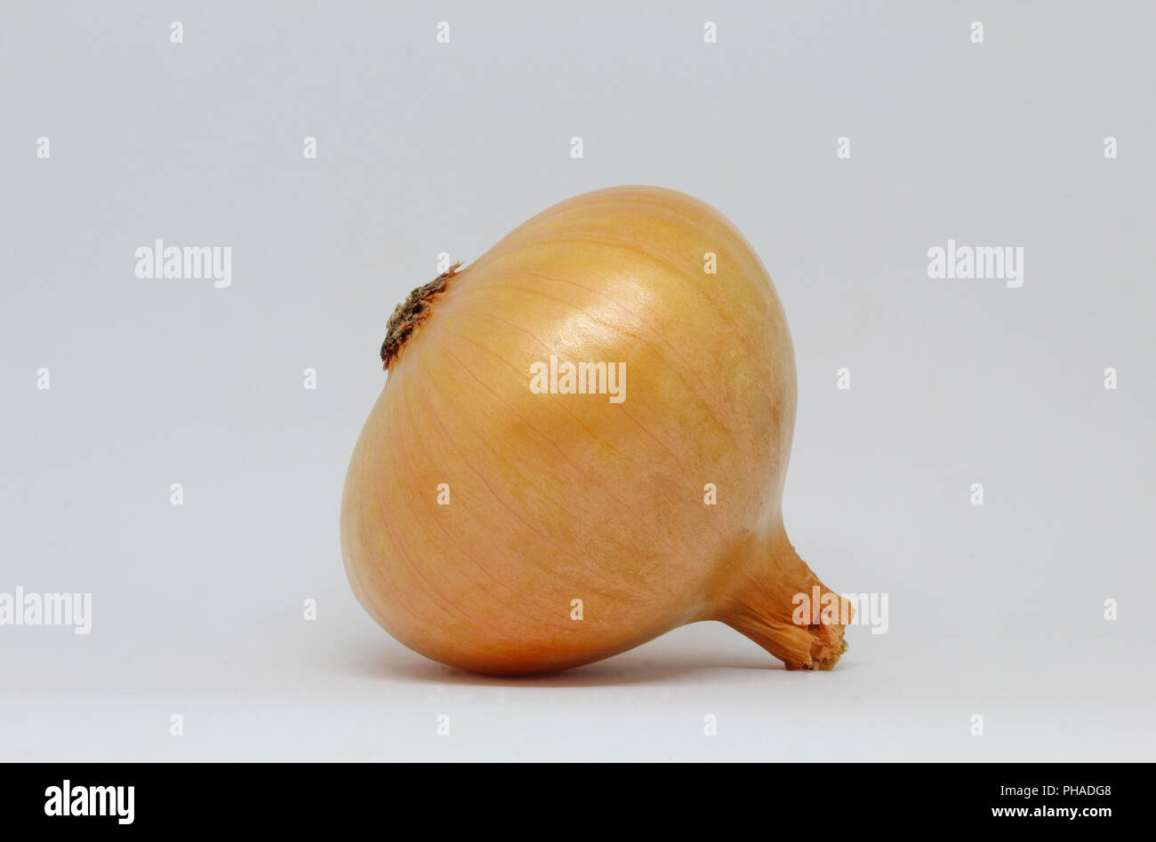 Single organic onion vegetable isolated on white background Stock Photo ...