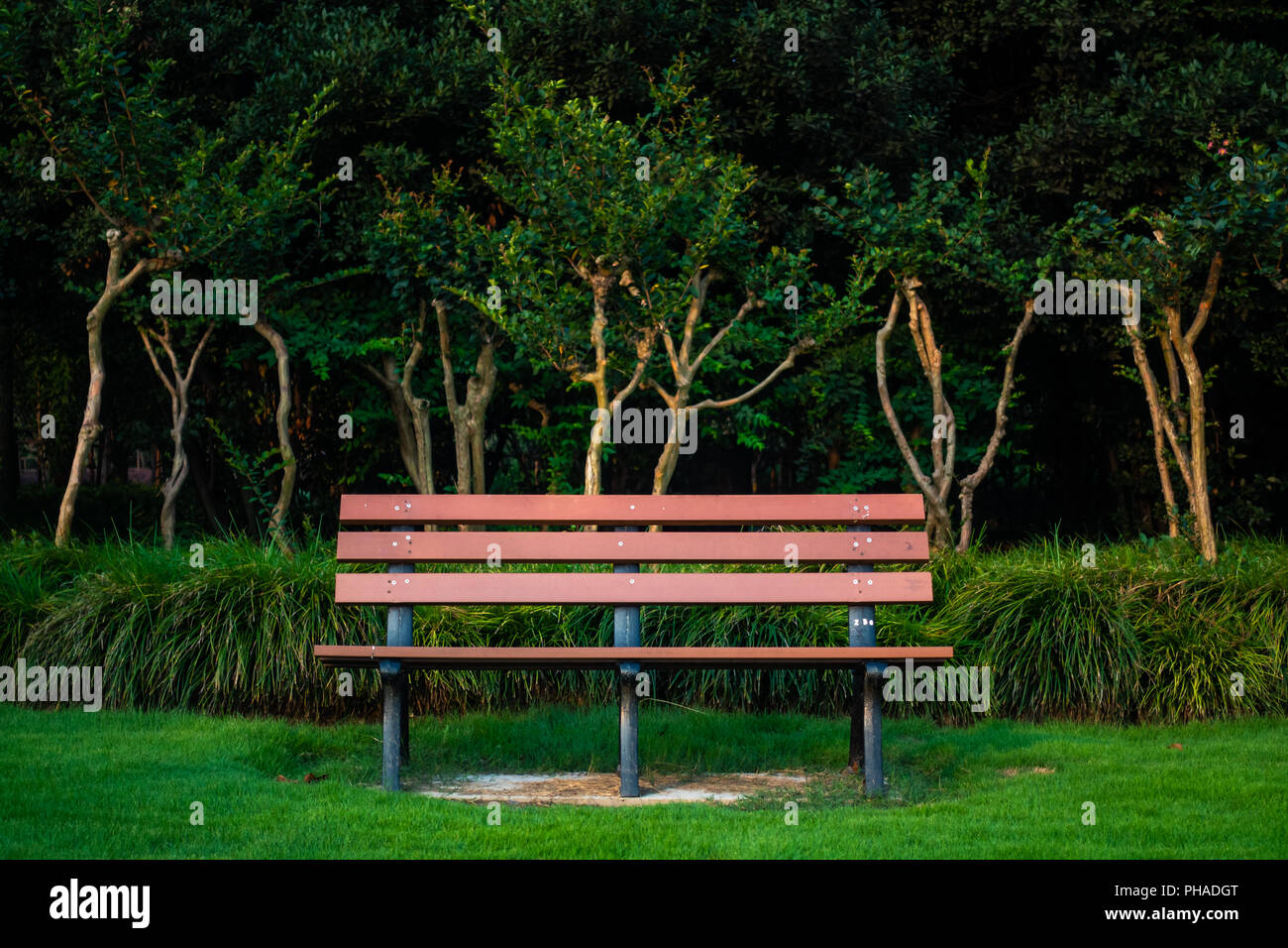 Empty Park Bench Morning Sunrise Empty Relaxing Peaceful Scene Stock ...
