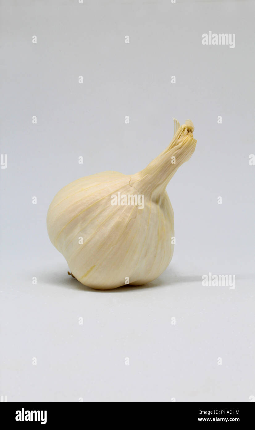 Single garlic isolated on white background. Organic, aromatic vegetable ...