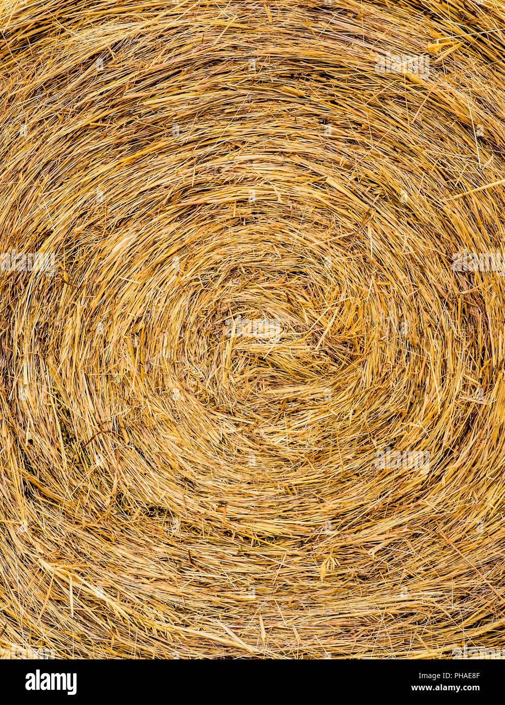 Hay texture hi-res stock photography and images - Alamy