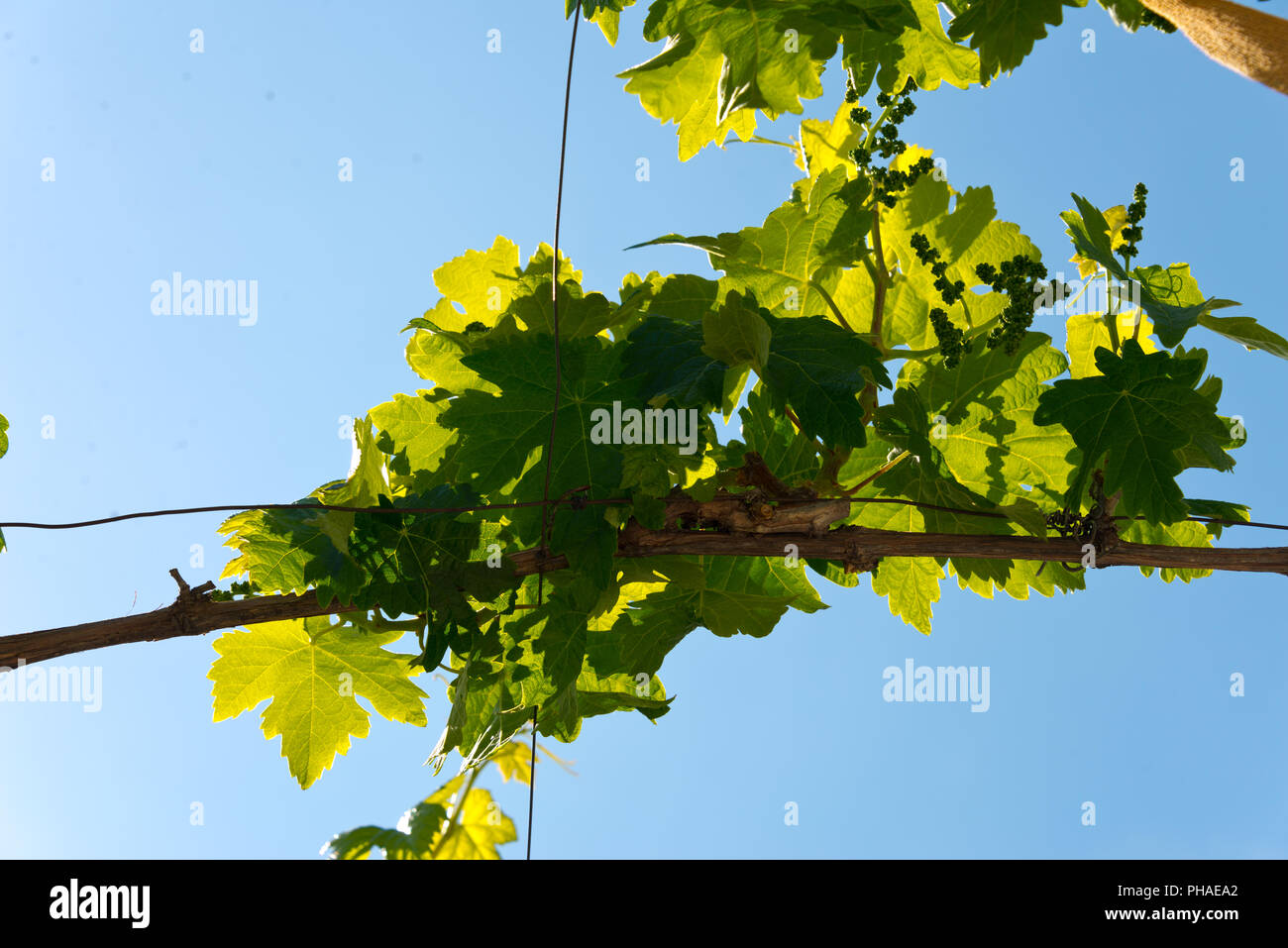 Rural pergola building hi-res stock photography and images - Alamy