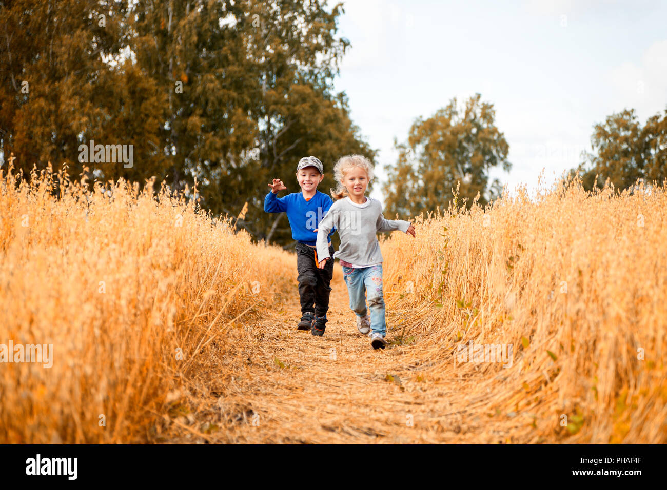 Little boy and girl on a wheat field in the sunlight running, playing ...