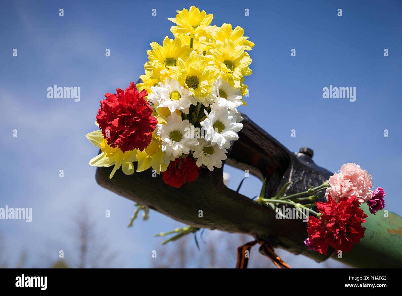 Beautifrul flowers in the barrel of the tank. May 9th. Victory day in ...