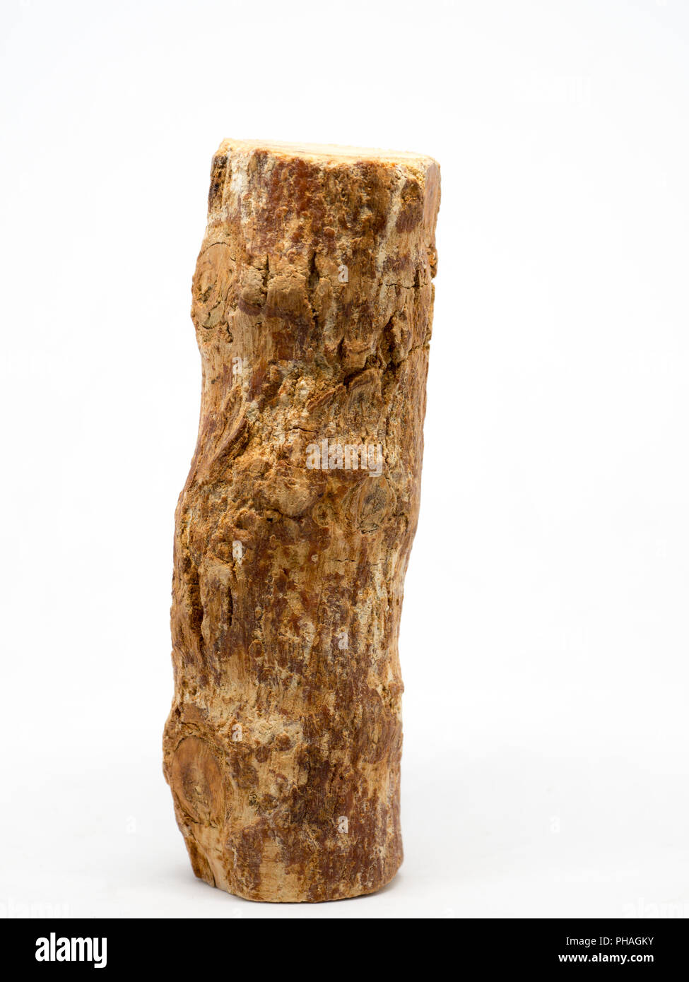Thanaka wood on white background (Isolated background). The Tanaka is ...