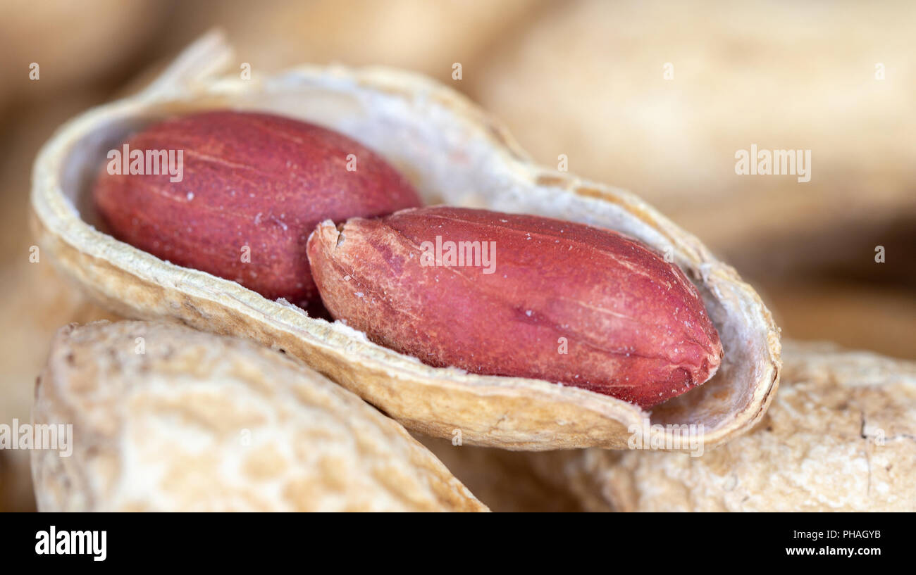 Closeup dried peanuts in shells on peanuts background on wooden table ...