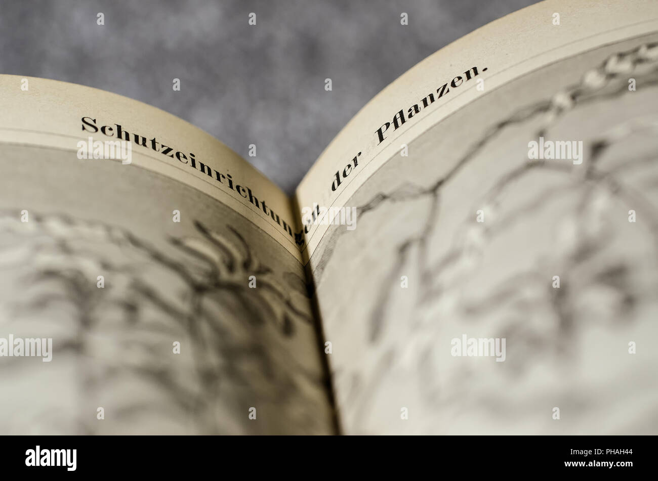 Gutenberg bible cover hi-res stock photography and images - Alamy