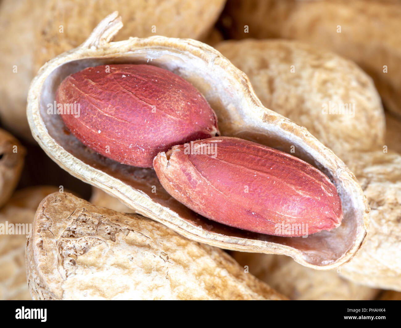 Closeup dried peanuts in shells on peanuts background on wooden table ...