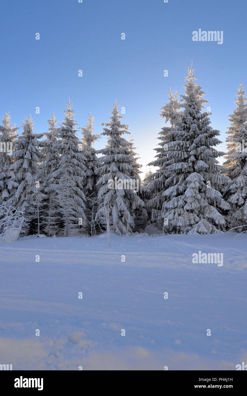 Frosty scenery hi-res stock photography and images - Alamy