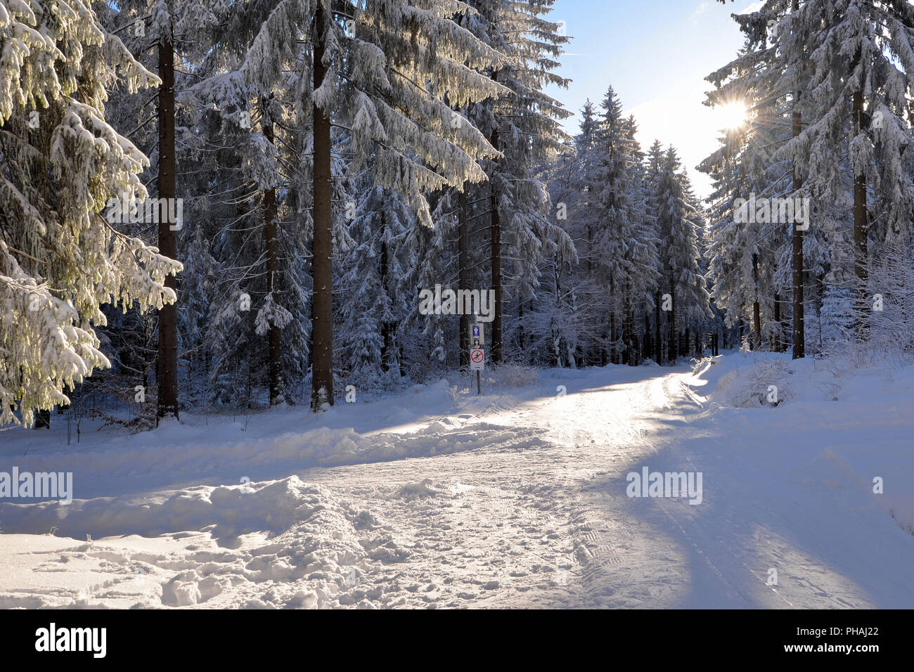 Frosty scenery hi-res stock photography and images - Alamy
