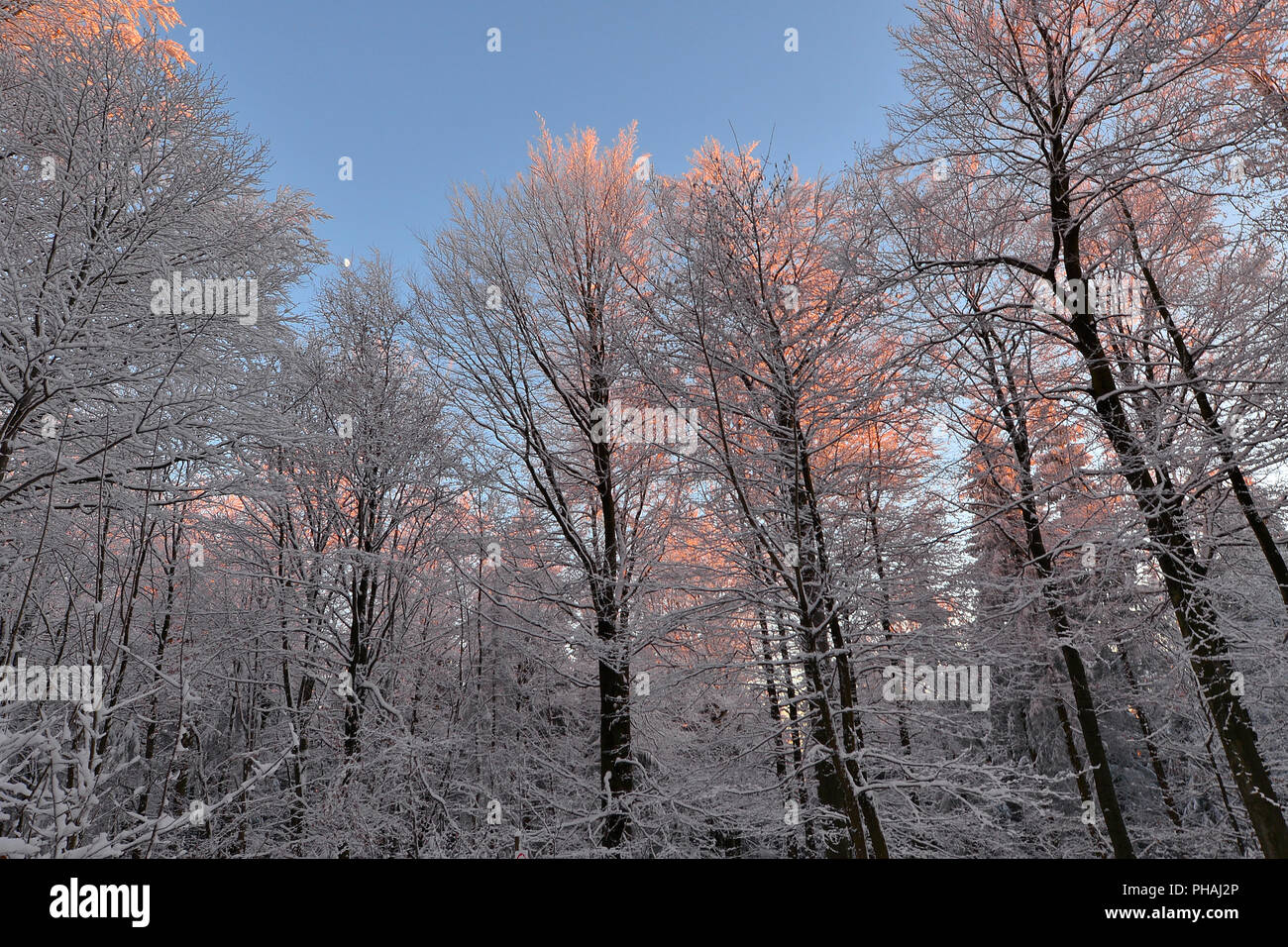 Coldly hi-res stock photography and images - Alamy