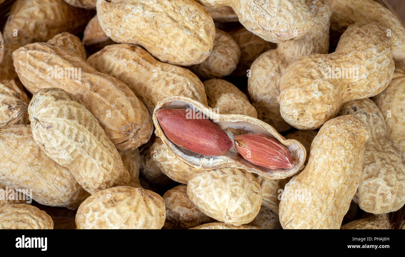Dried peanuts in shells on peanuts background on wooden table. Concept ...