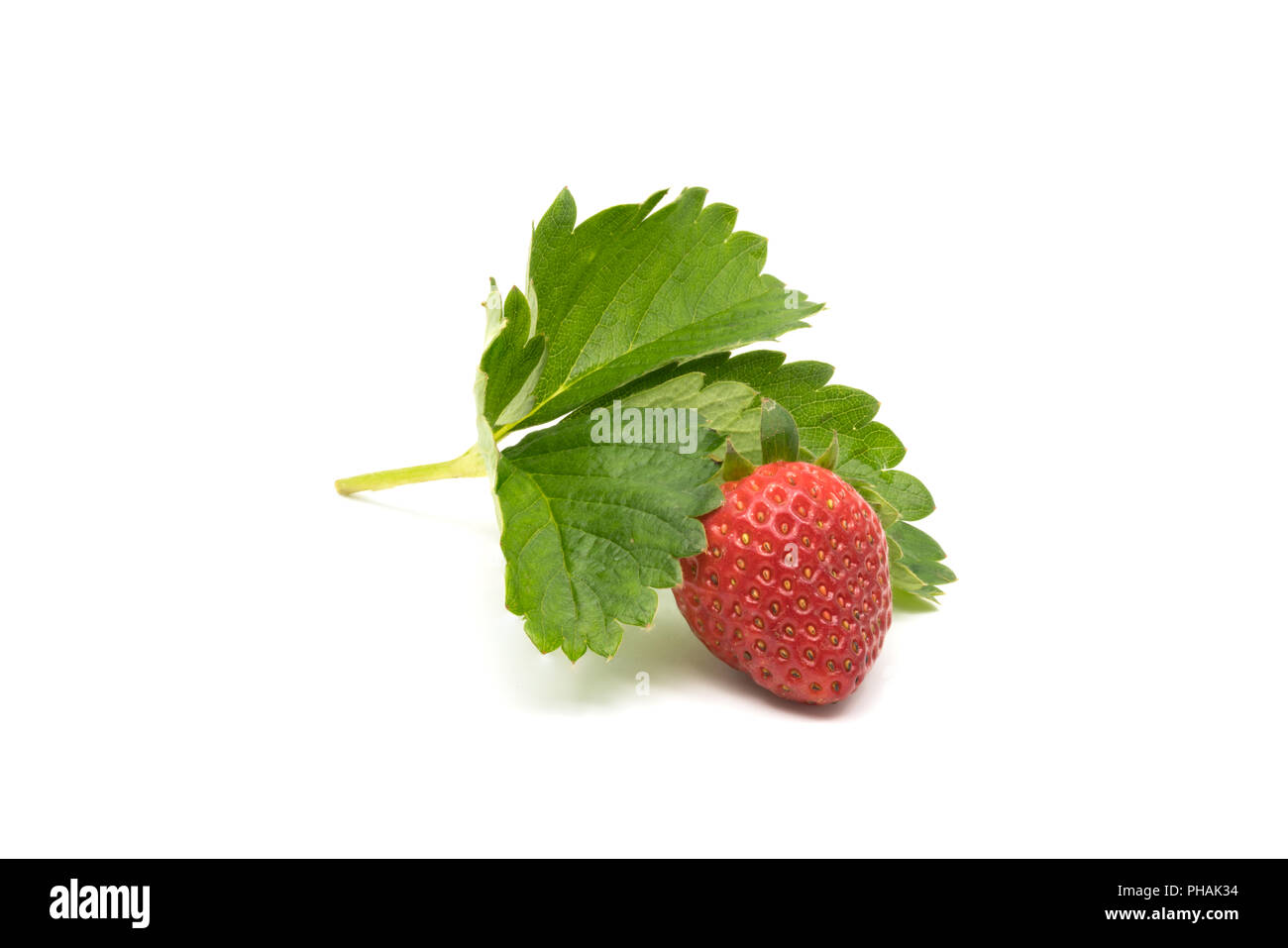 Fresh strawberry with leaves Stock Photo - Alamy