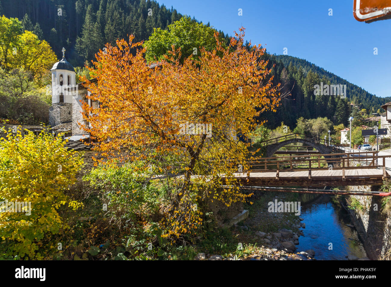19th century Church of the Assumption, river and Autumn tree in town of ...
