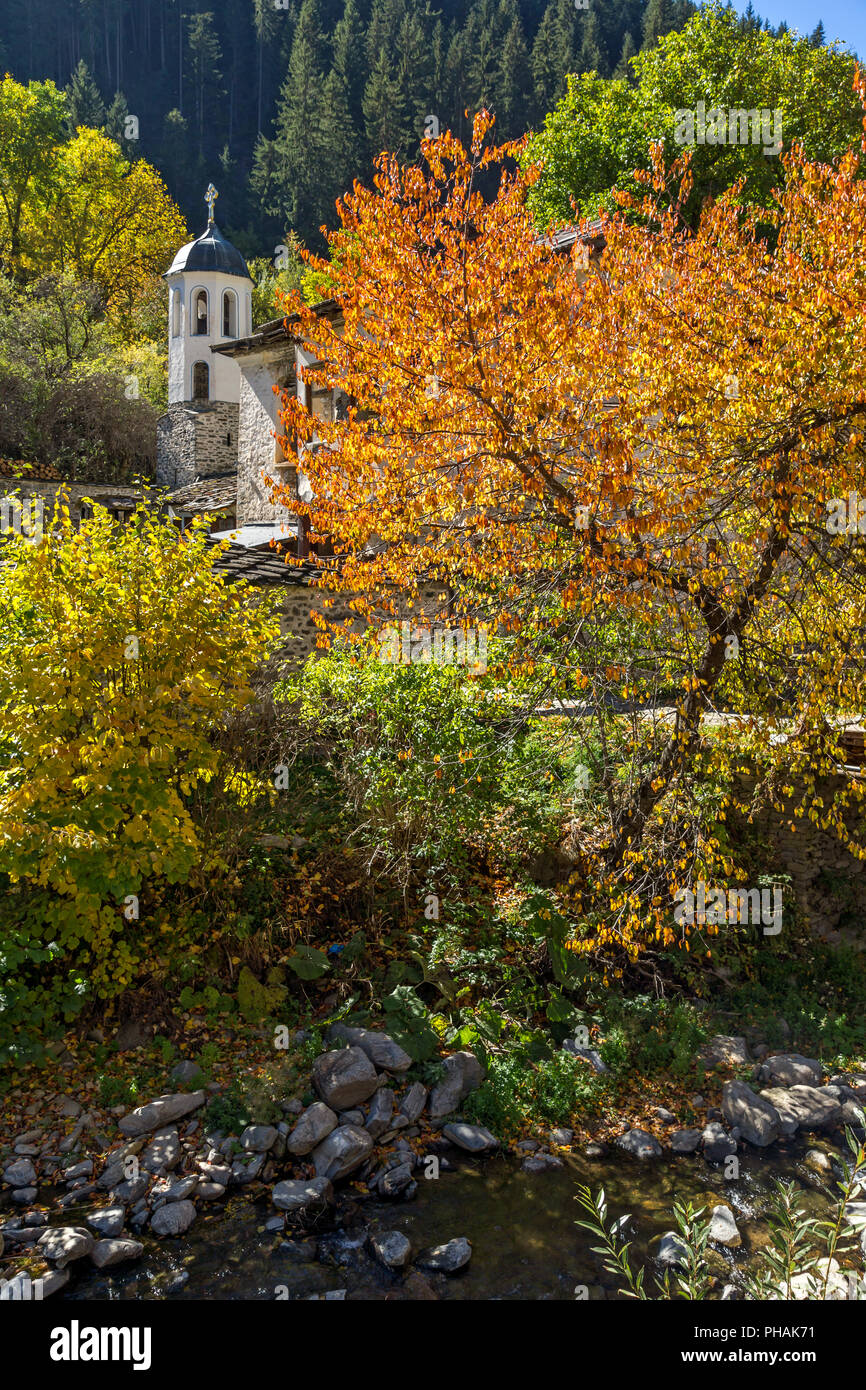 19th century Church of the Assumption, river and Autumn tree in town of ...