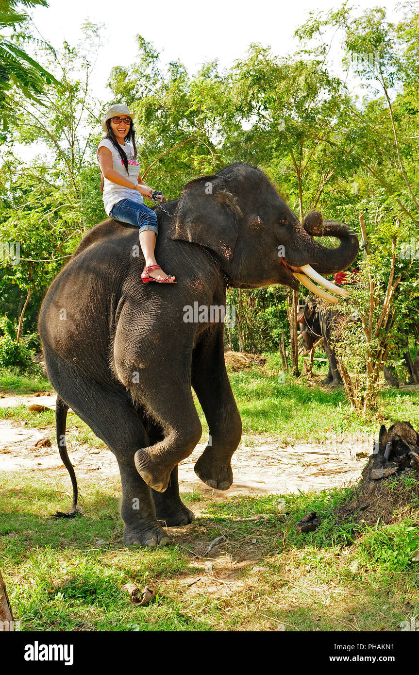 Woman on elephant hi-res stock photography and images - Alamy