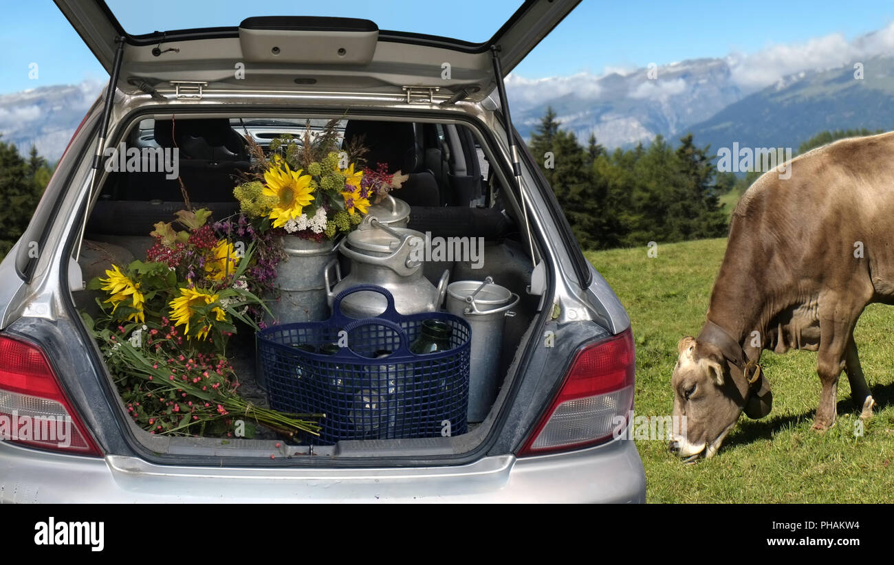 Car's Trunk full of milk churns Stock Photo - Alamy