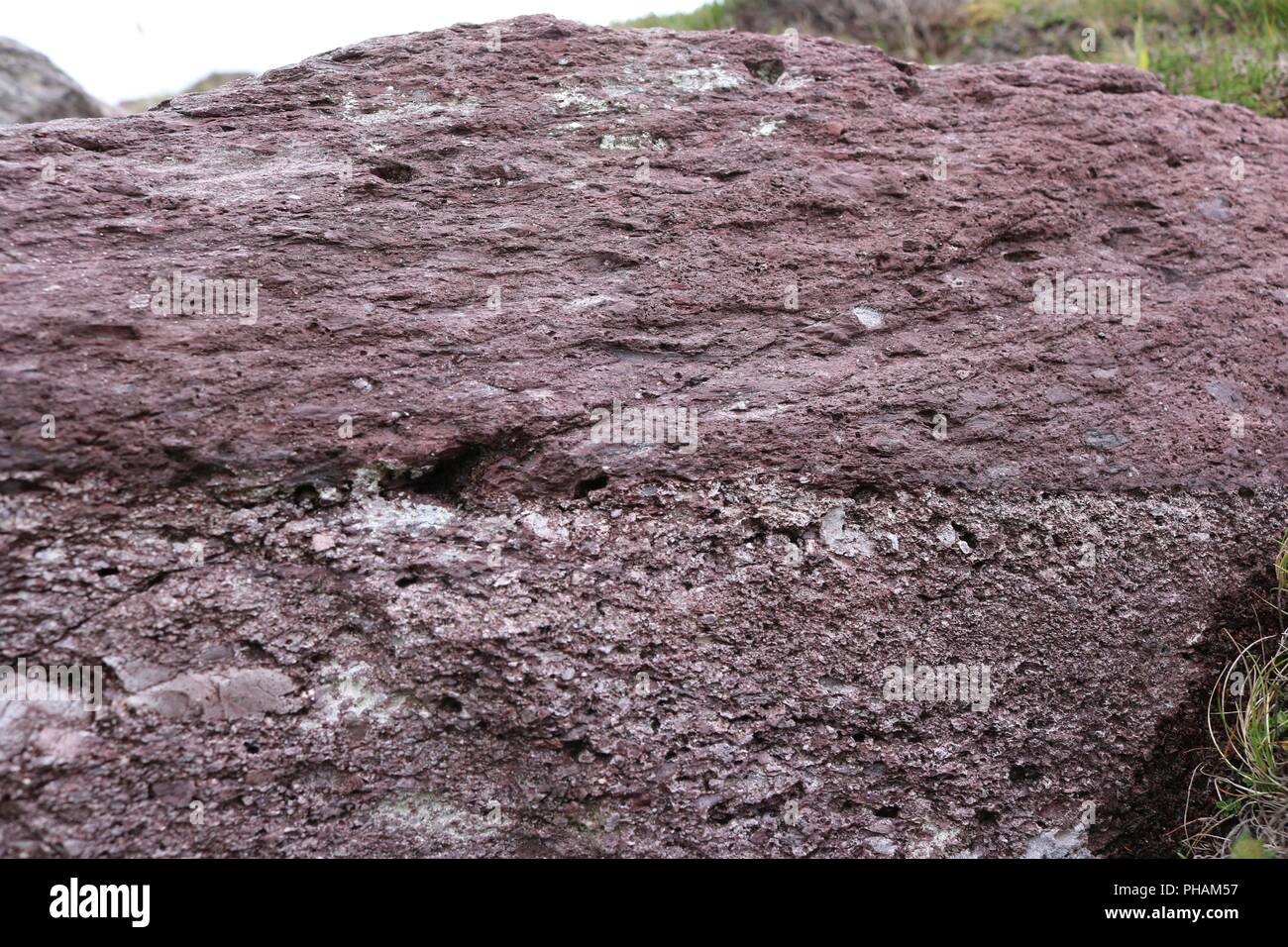 Pumice fragments contained within a welded ignimbrite at Clogher Head ...
