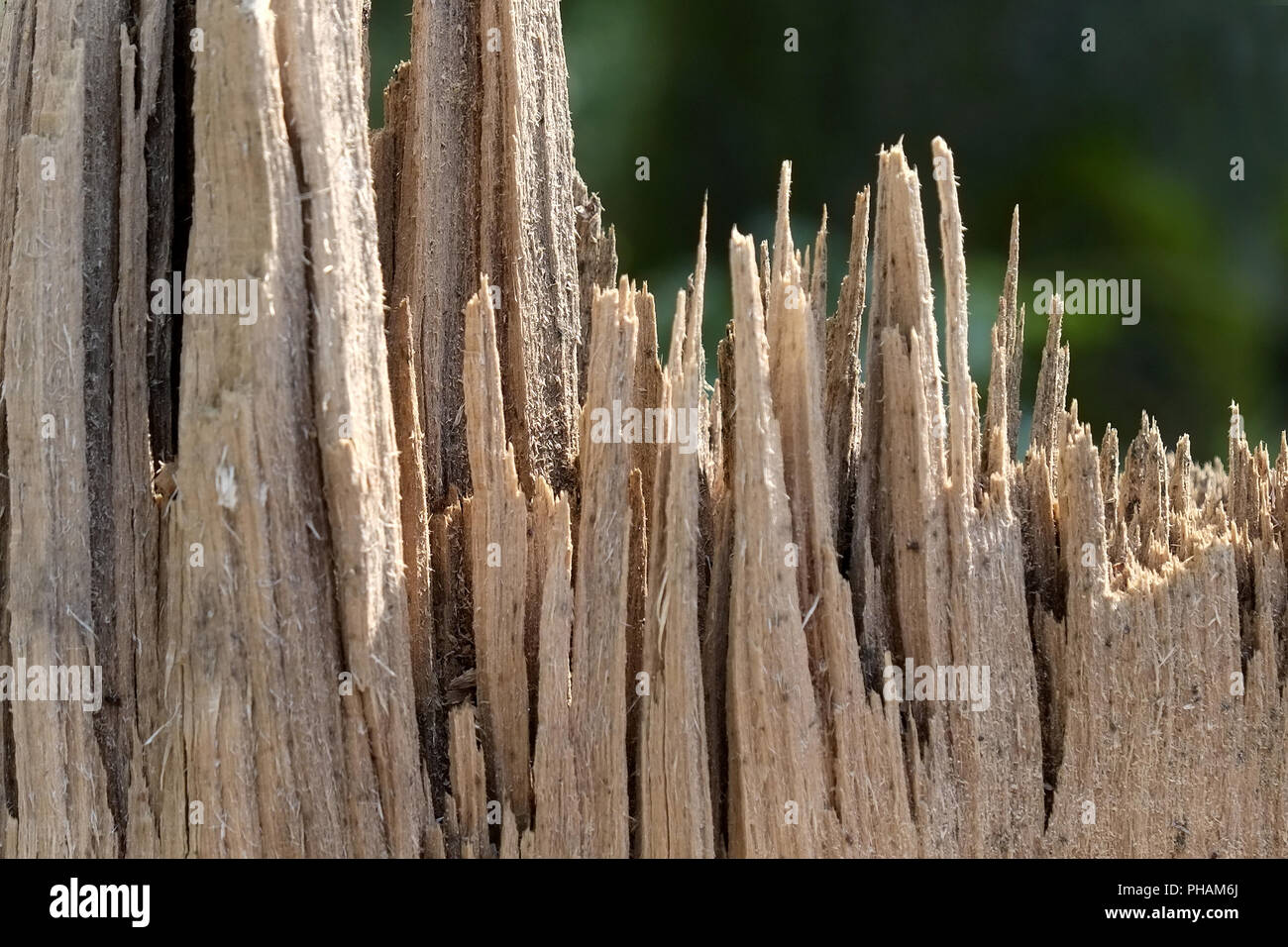 Splinter hi-res stock photography and images - Alamy