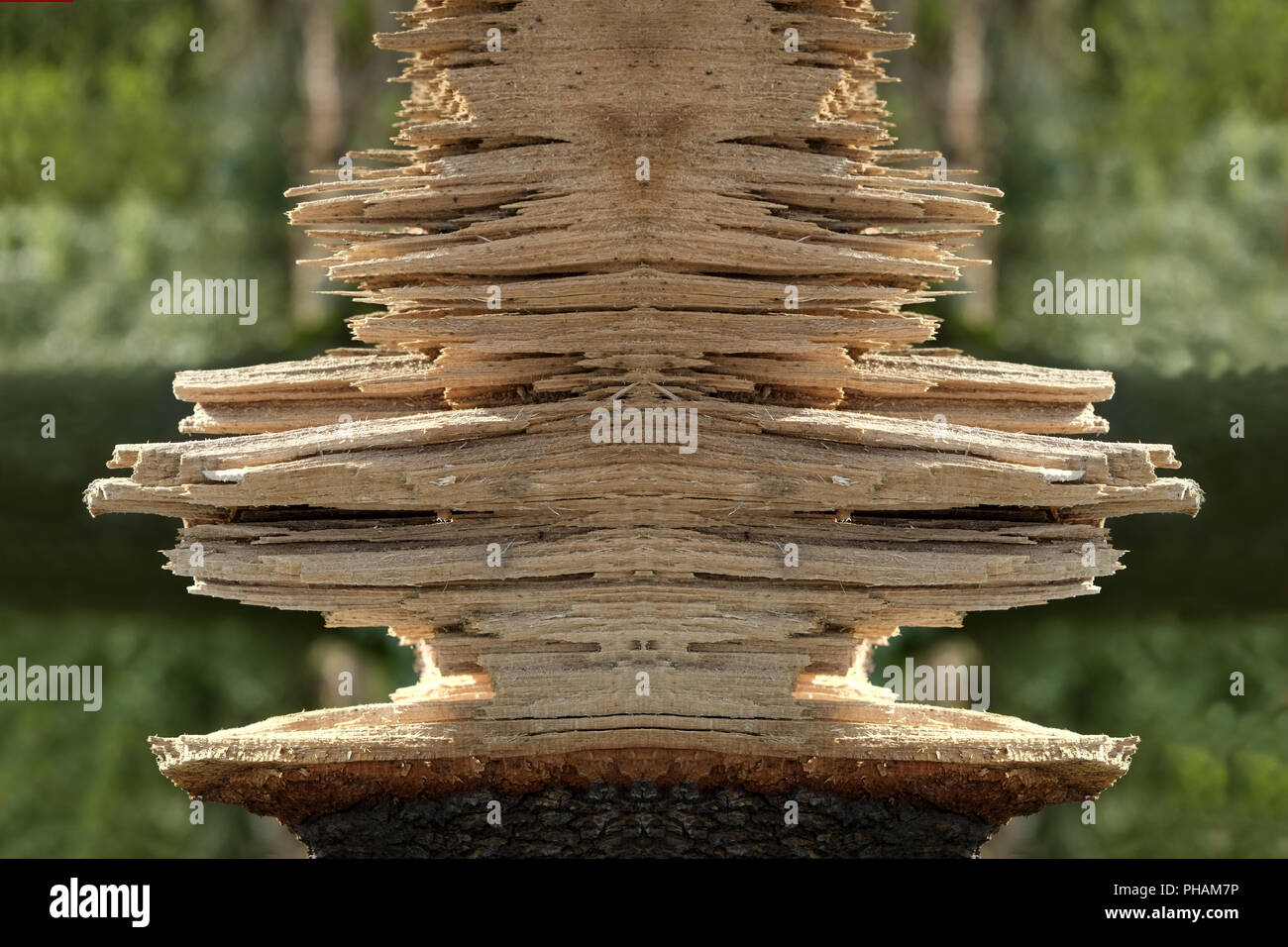 Splinters hi-res stock photography and images - Alamy