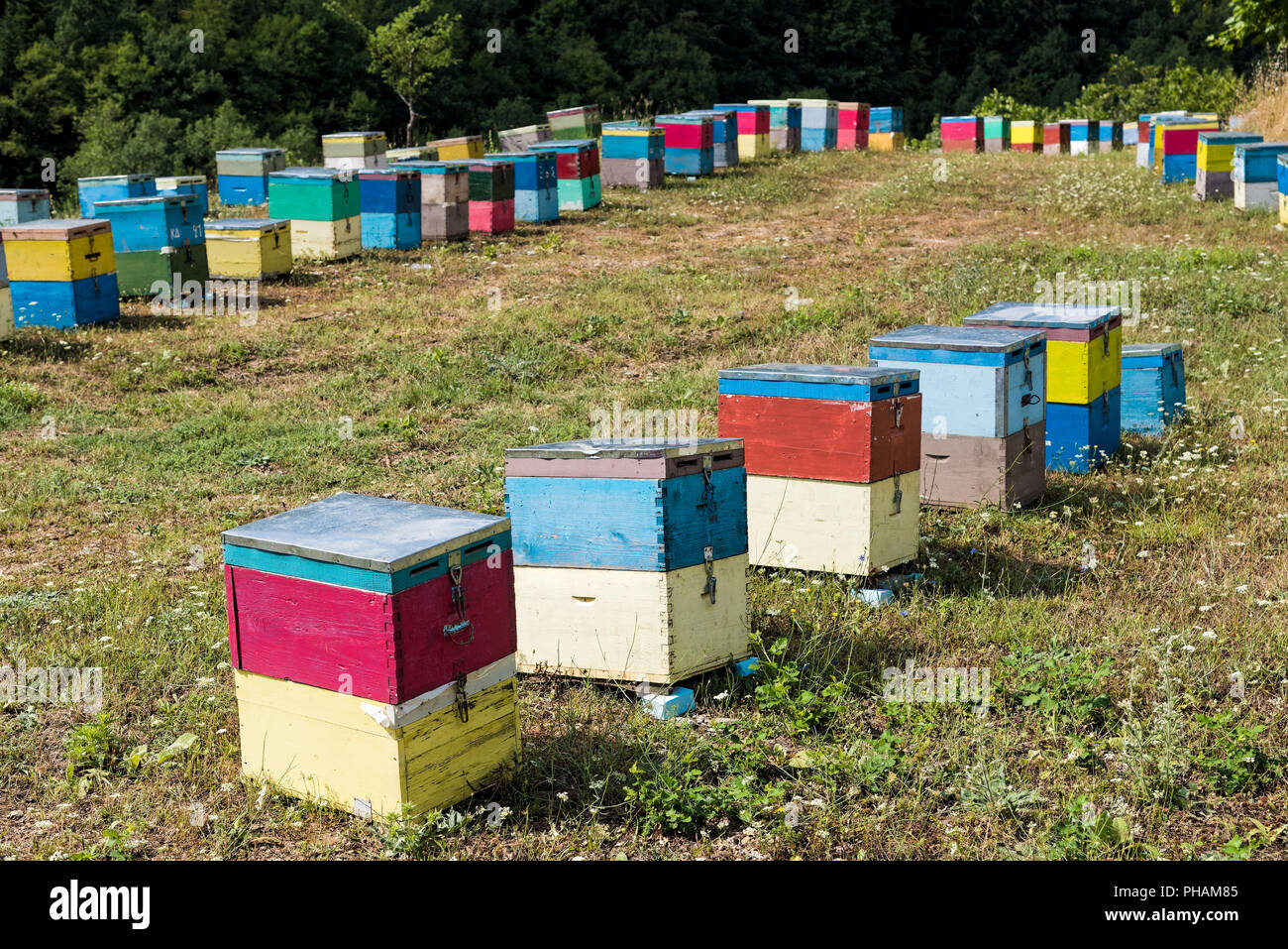 Colorful beehives in a field with trees near Mount Olympus in Greece ...