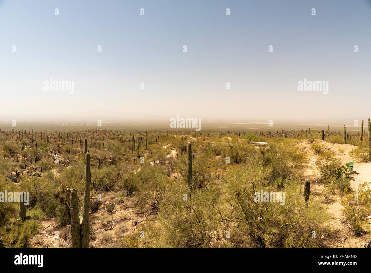 Hot and dry desert hi-res stock photography and images - Alamy