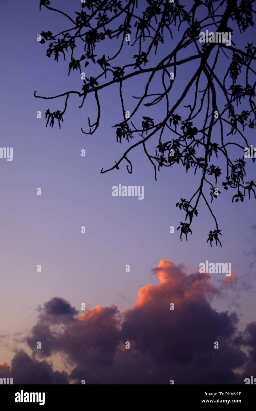 Mood of the sky hi-res stock photography and images - Alamy