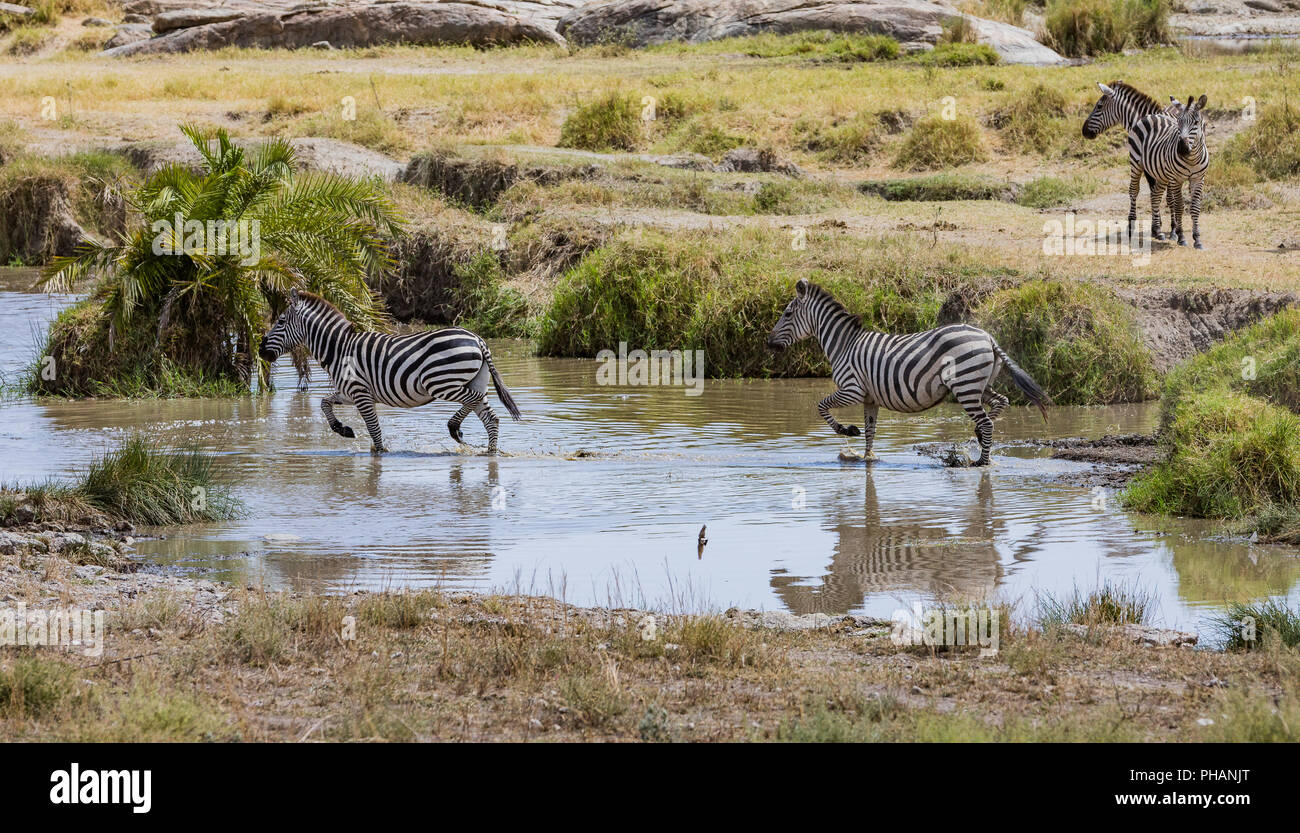 Walk to the water hi-res stock photography and images - Alamy