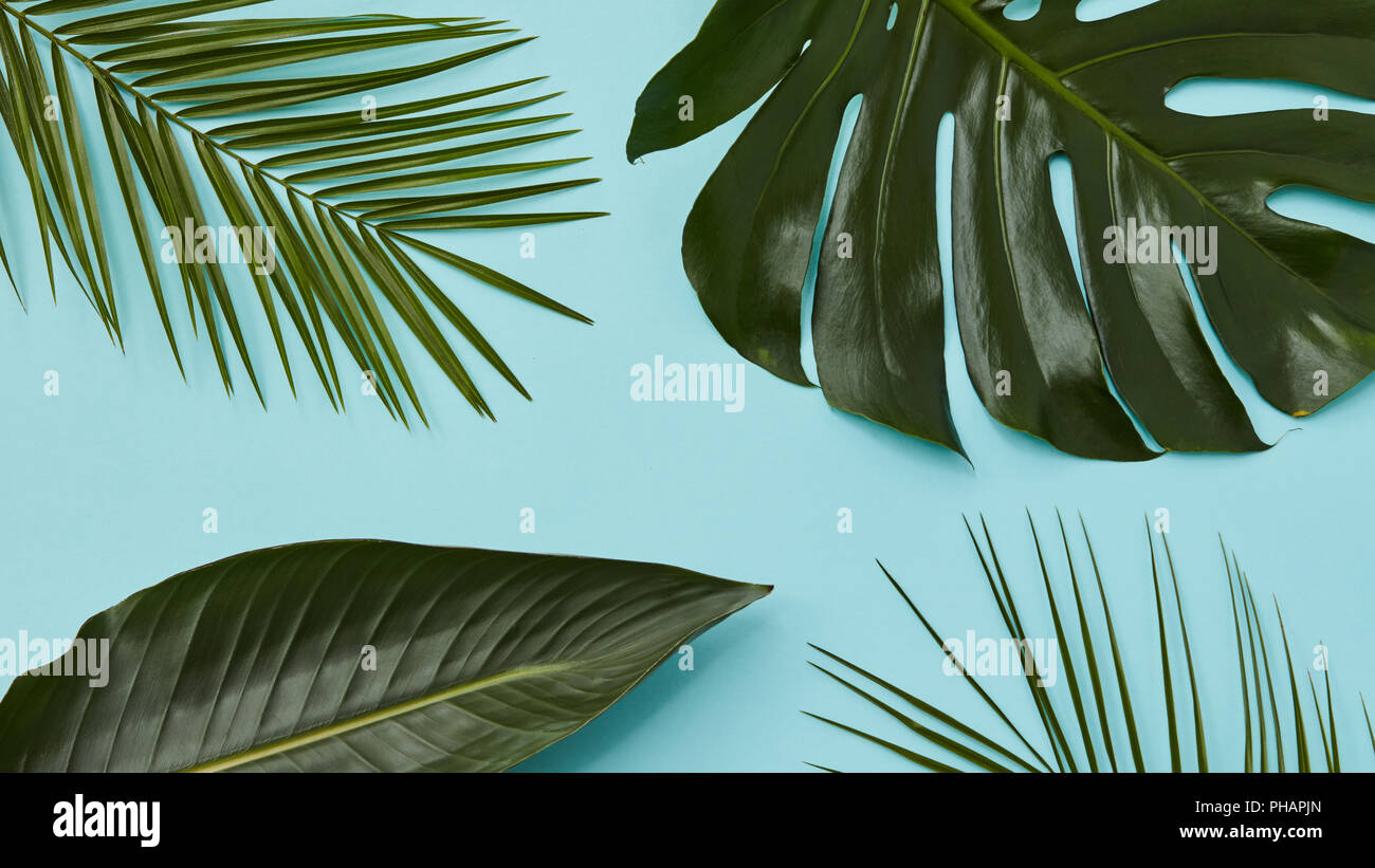 Mix green hi-res stock photography and images - Alamy