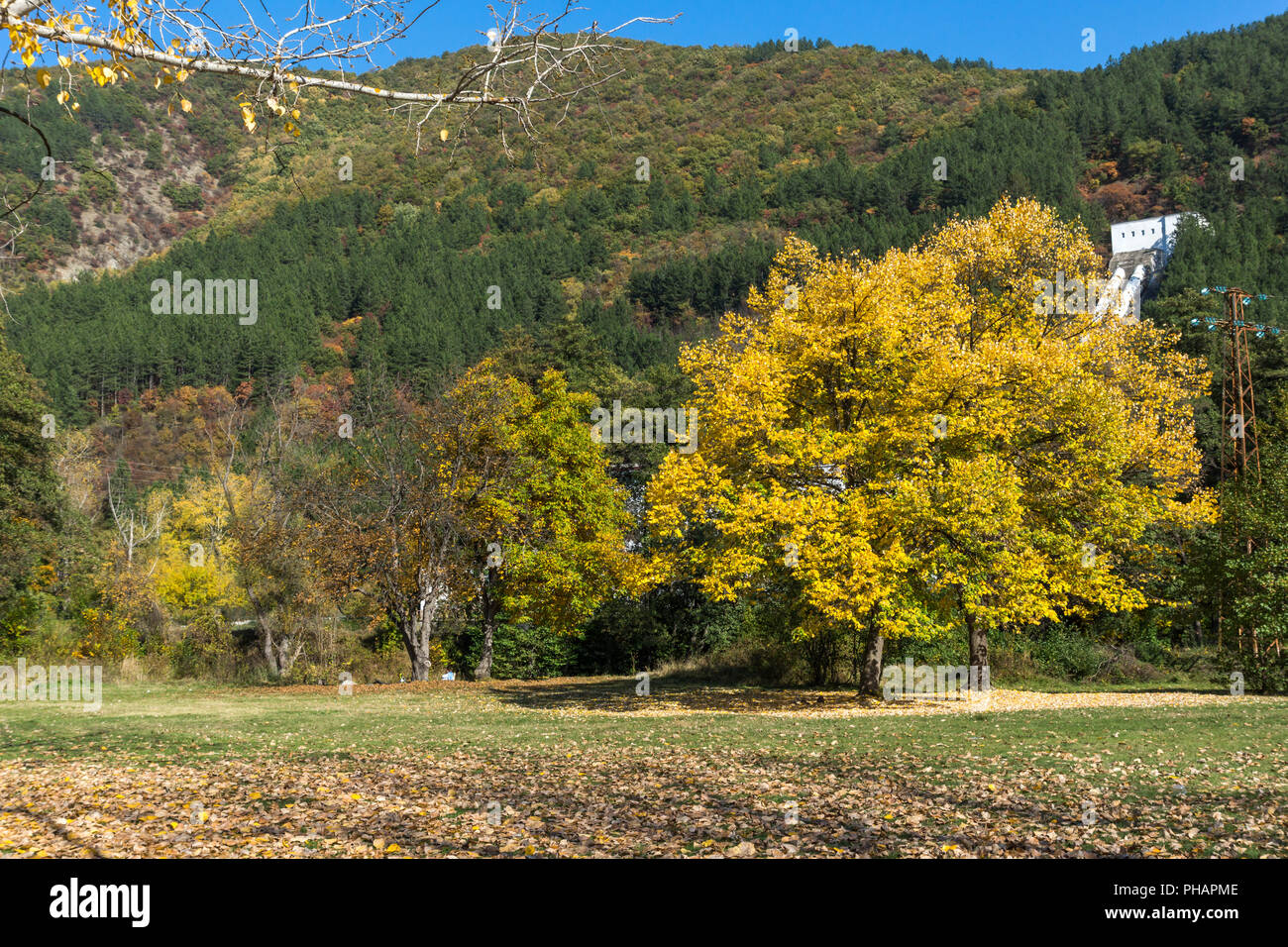 Autumn Landscape with yellow tree near Pancharevo lake, Sofia city ...