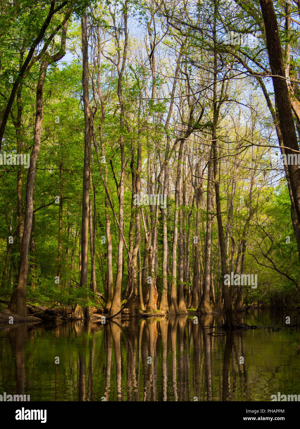 Cedar Creek South Carolina High Resolution Stock Photography and Images ...