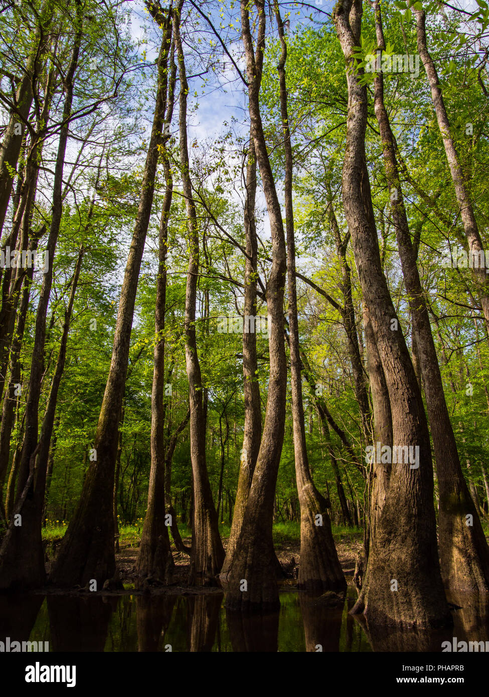 Cedar Creek South Carolina High Resolution Stock Photography and Images ...