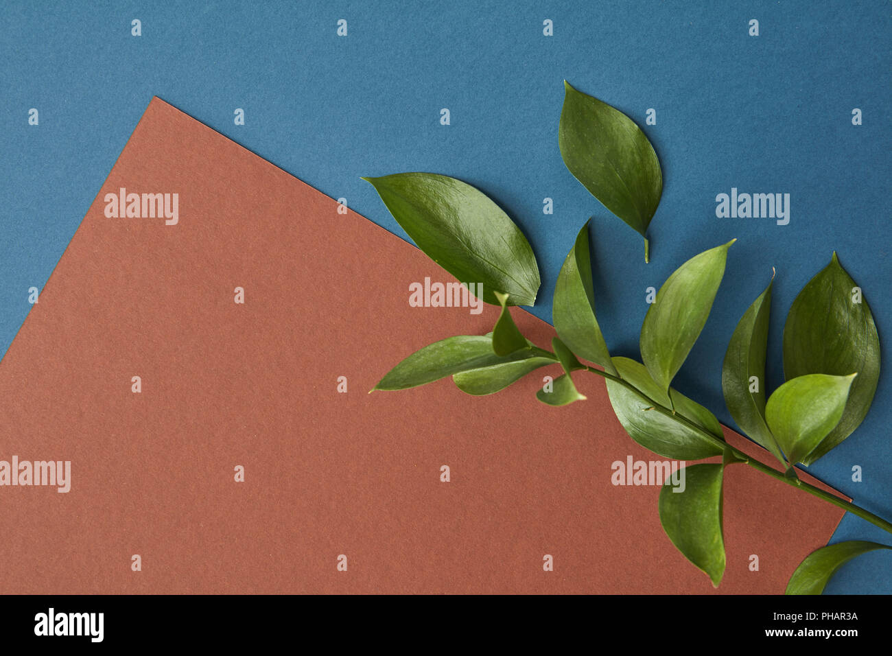 Text sheet hi-res stock photography and images - Alamy