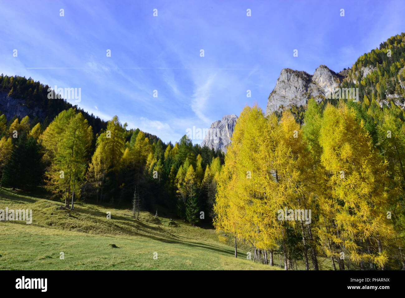 the fantastic autumn of the forests in the mountains of the Nordic ...