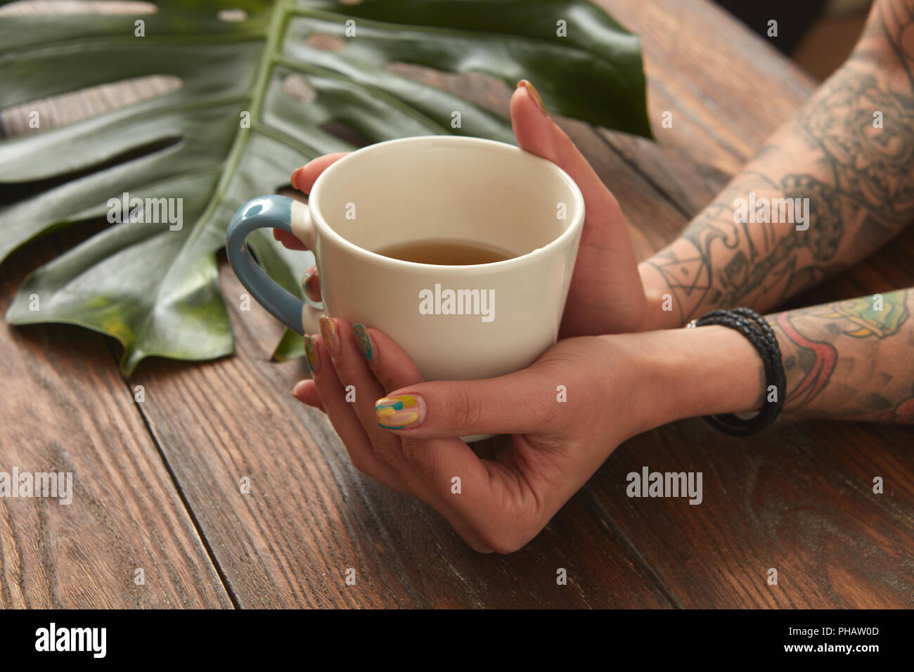 Female hands holding coffee cup Stock Photo - Alamy