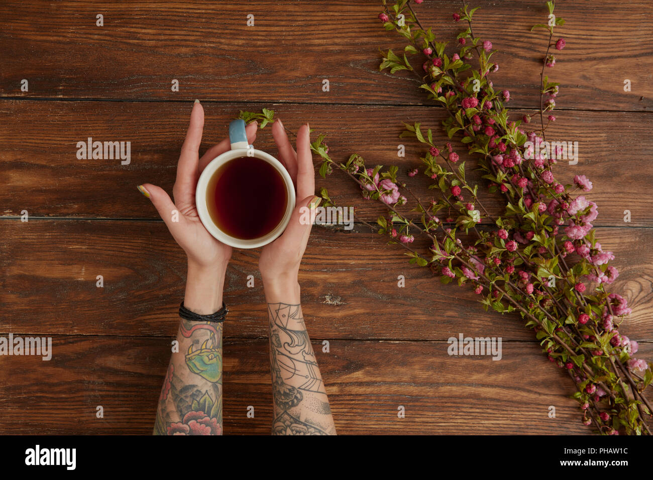 Female hands holding tea cup Stock Photo - Alamy